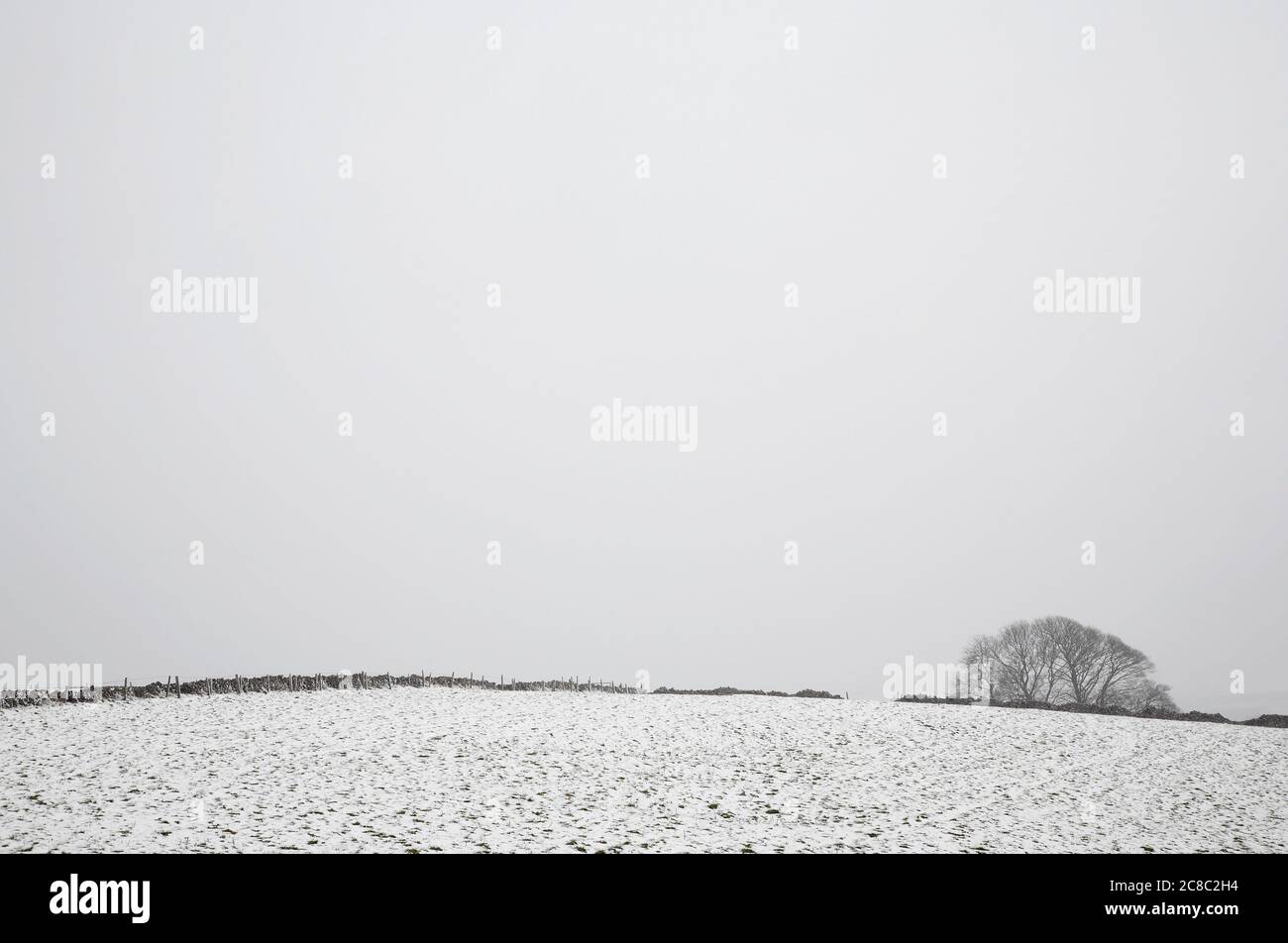 Distant view of snowy fields Stock Photo - Alamy