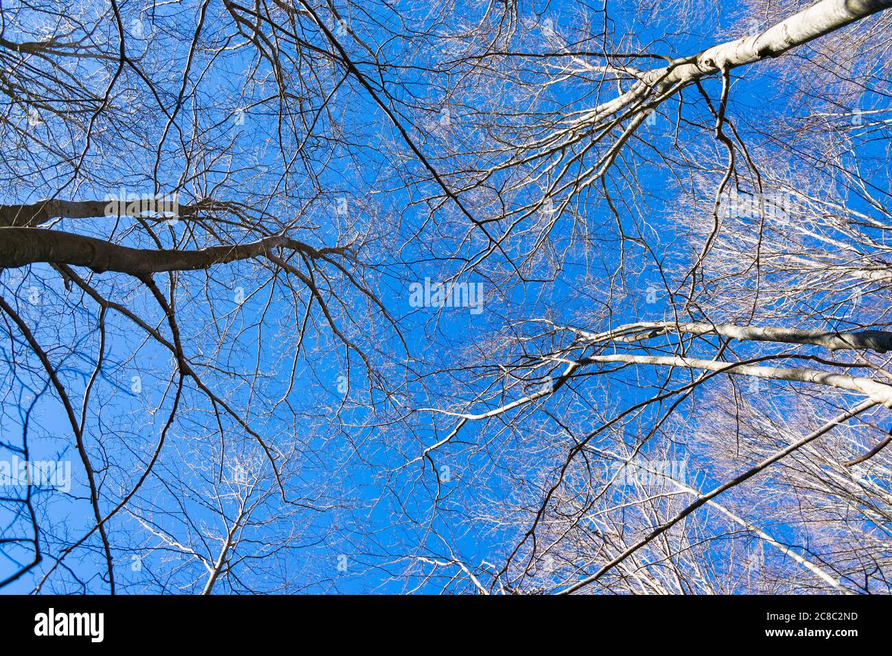 Beautiful view from bottom hi-res stock photography and images - Alamy