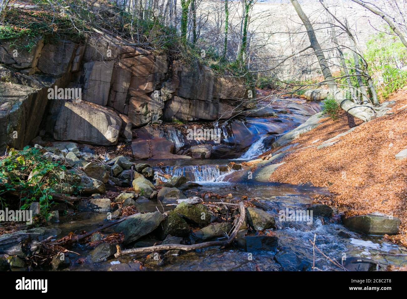 Stream small mountain river in hi-res stock photography and images - Alamy