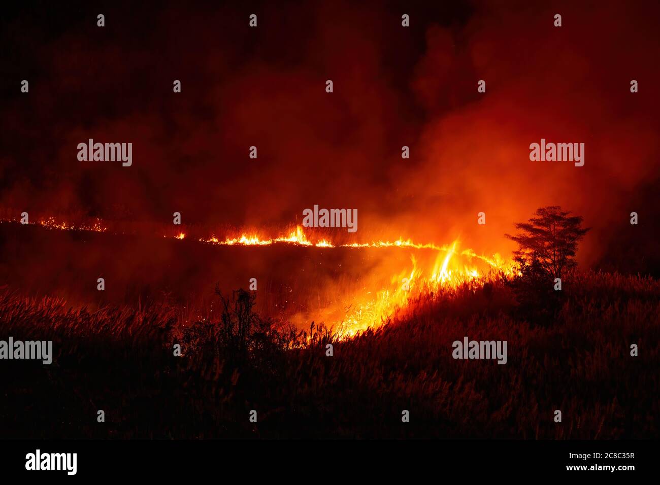 Landscape View of Fire Burning Grass and Trees at Night Stock Photo - Alamy