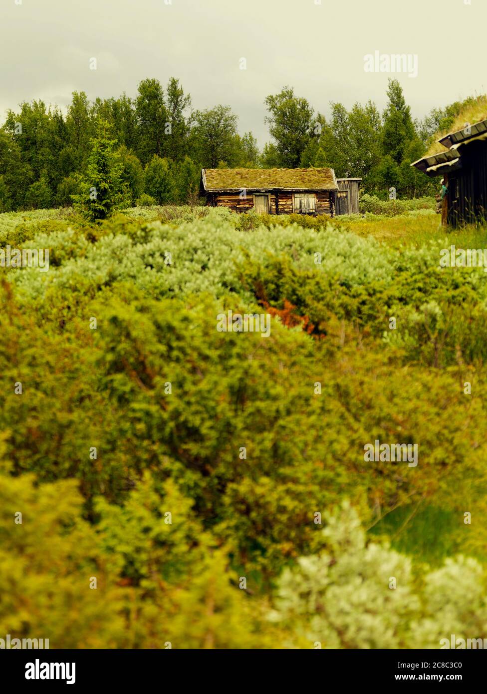 Farmland green scene Stock Photo - Alamy