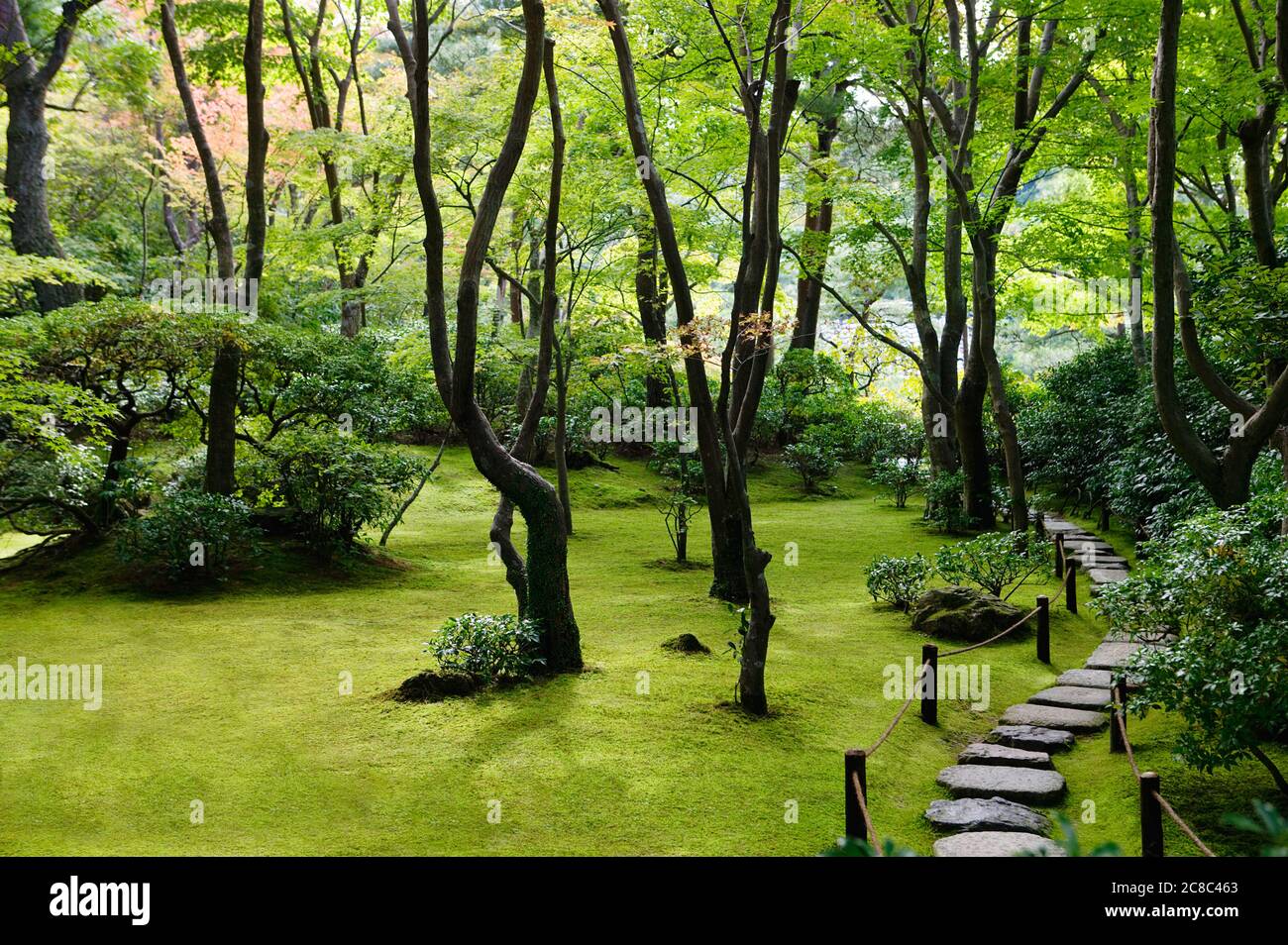 Path in Japanese garden Stock Photo - Alamy
