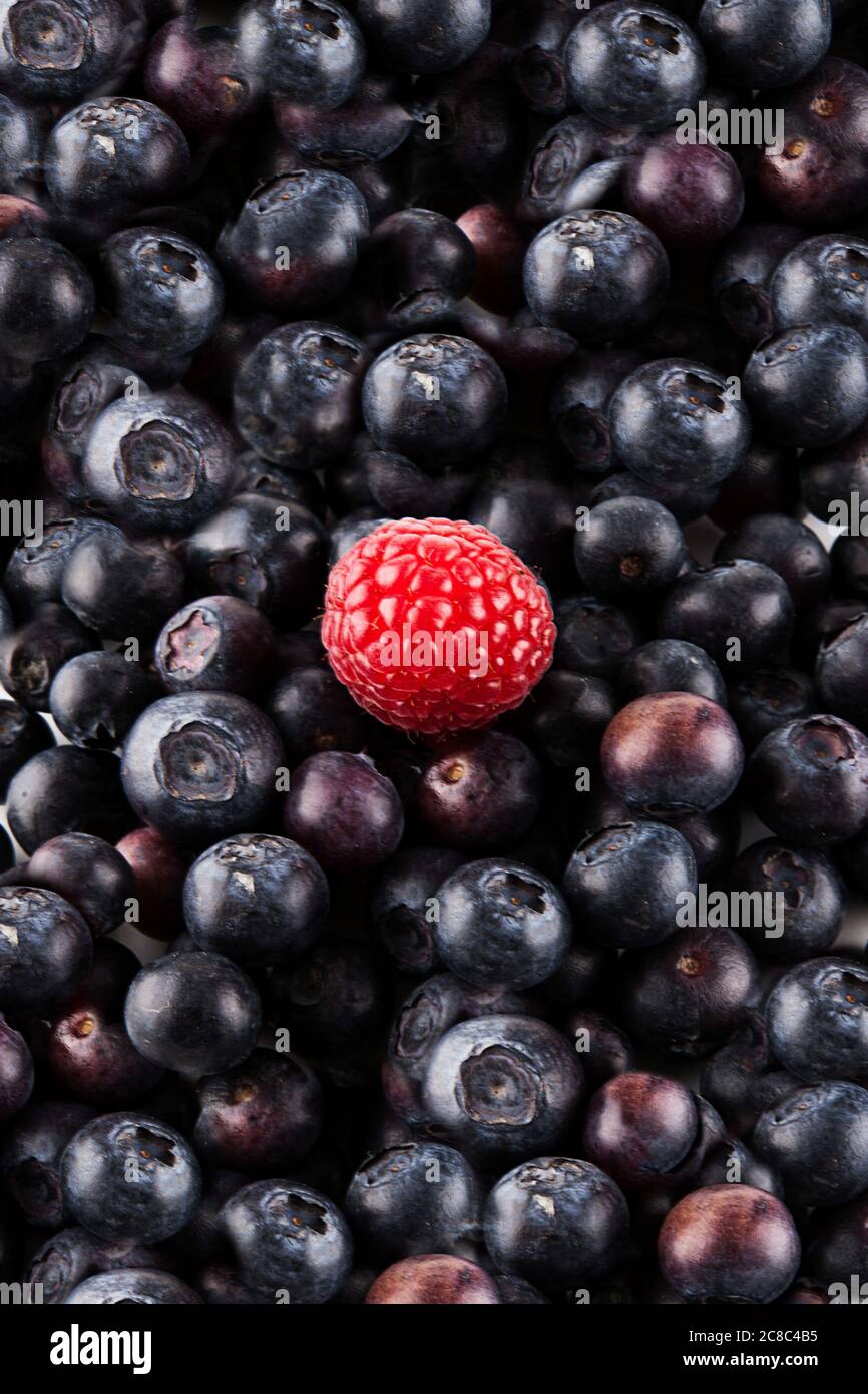 Odd one out raspberry on blueberries Stock Photo - Alamy