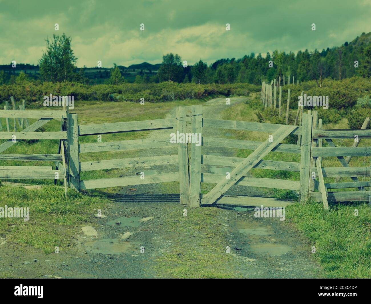 Field Fence Country Road A Wet Road With A Fence And A Field In The