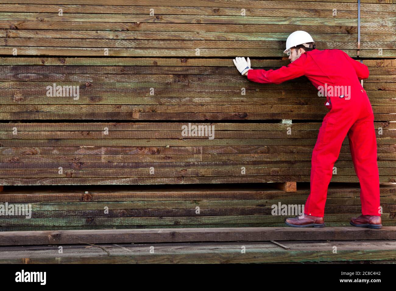 Inspecting timber hi-res stock photography and images - Alamy