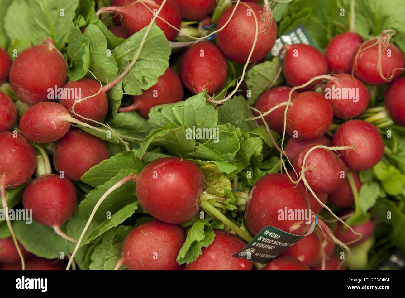 Display freshly harvested red hi-res stock photography and images - Alamy