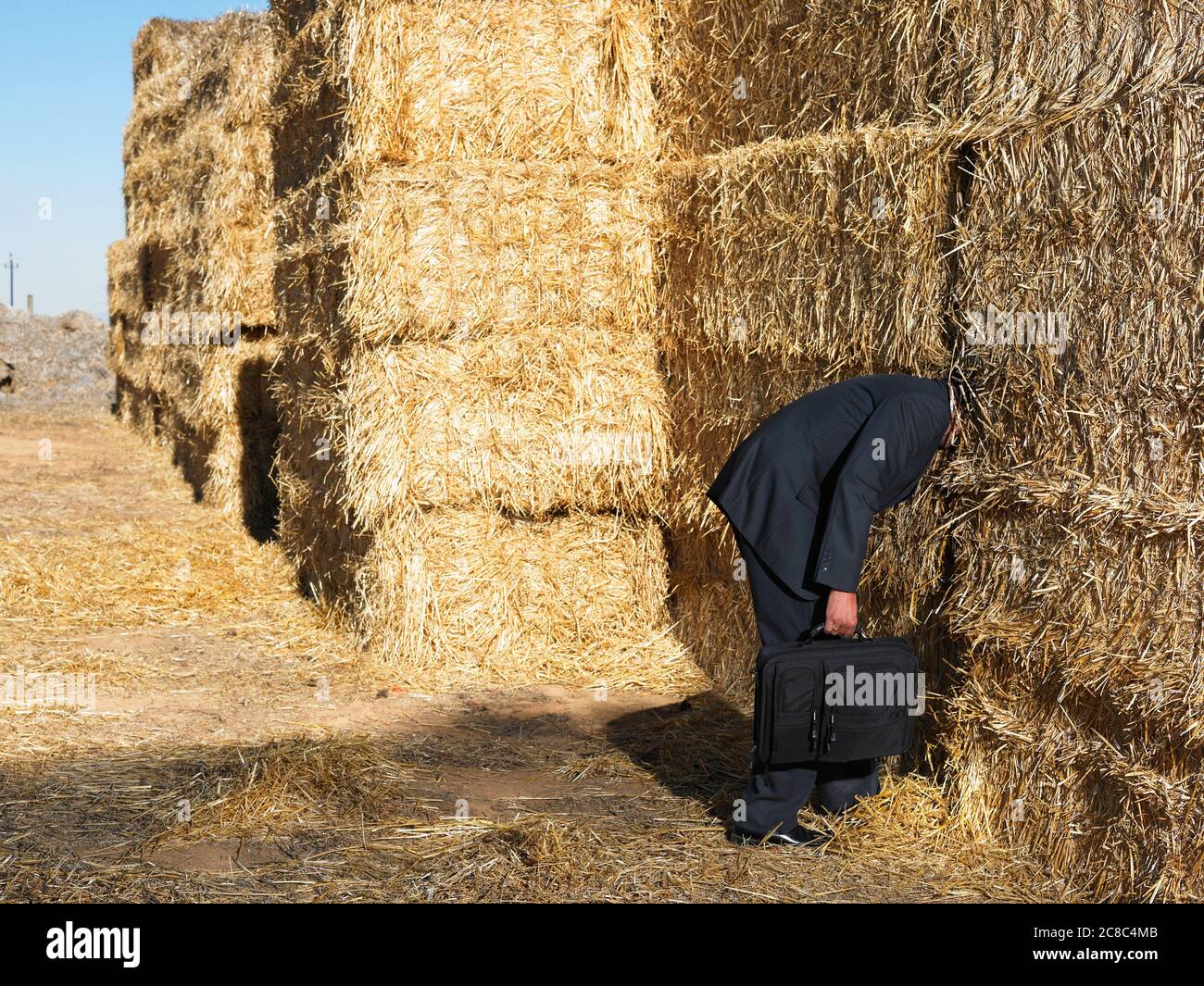 Melody farm hi-res stock photography and images - Alamy