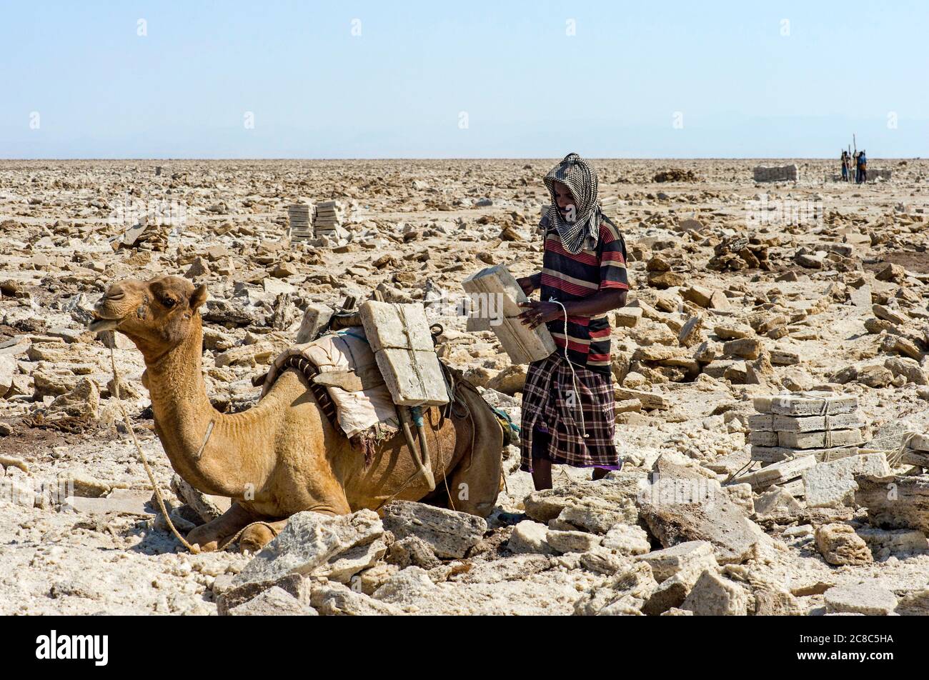 Afar Region Salt Production High Resolution Stock Photography and ...