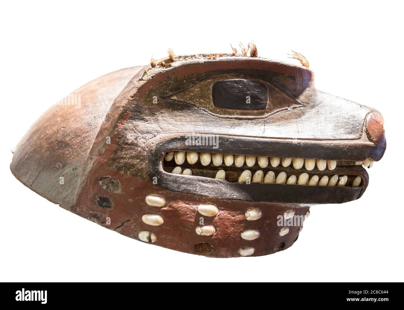 Wolf shaped helmet hi-res stock photography and images - Alamy