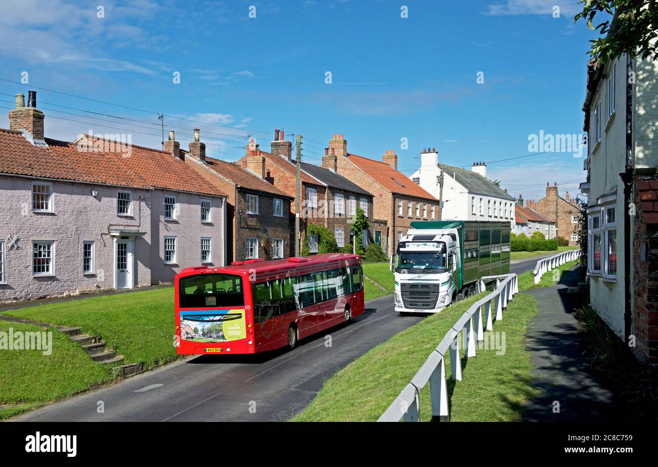 Bus and lorry carrying livestock, in the village of Stillington, North ...