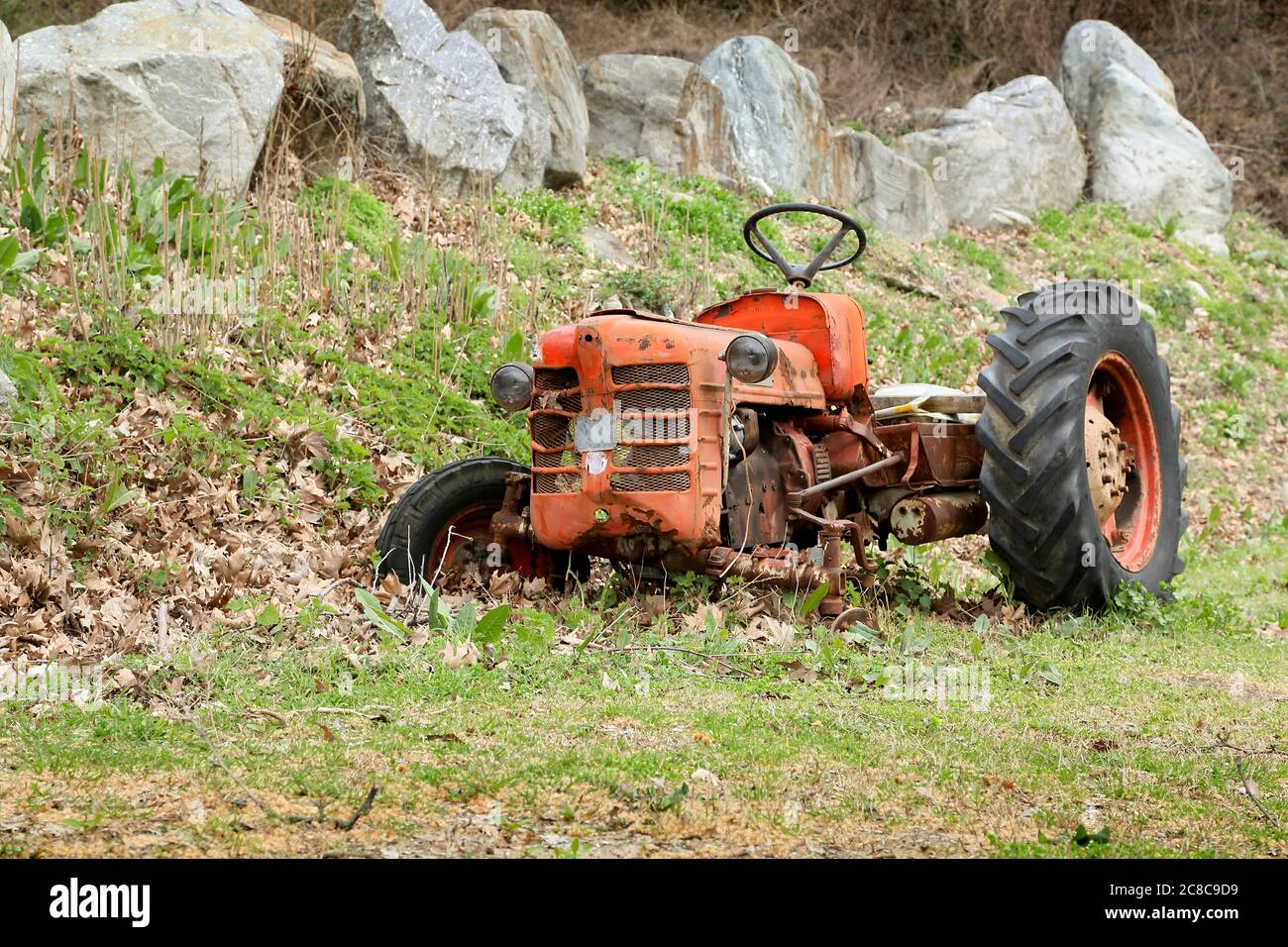 abandoned old orange tractor in the countryside Stock Photo - Alamy