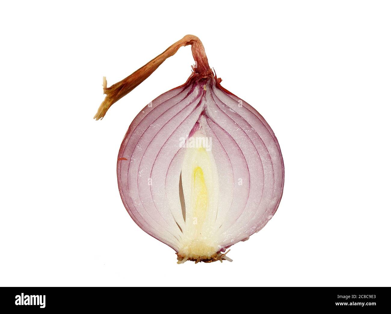 half an onion on white Stock Photo - Alamy