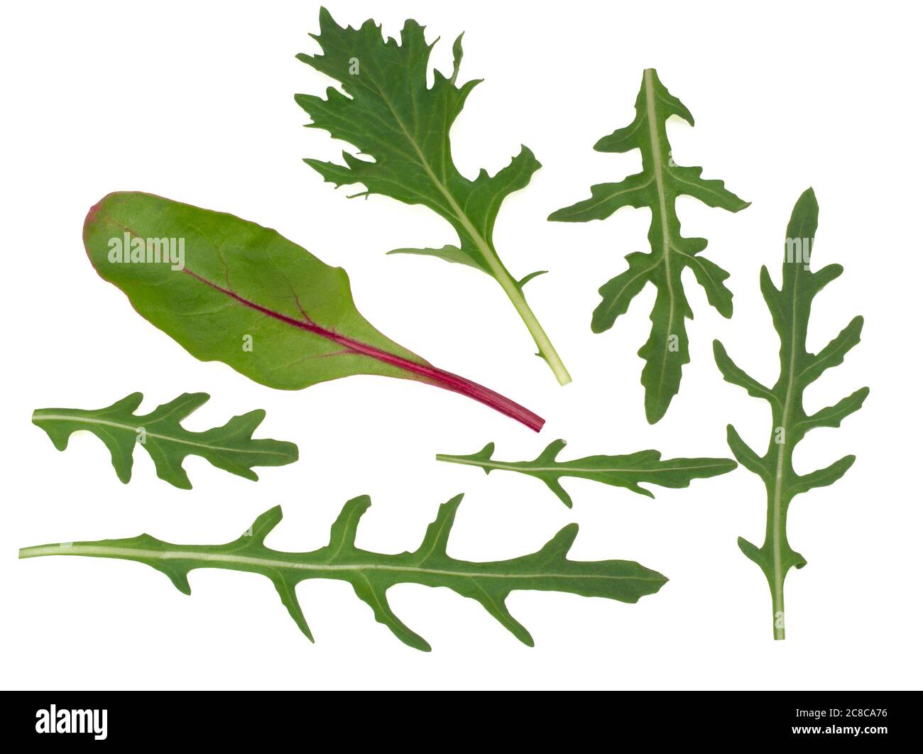 Mix of fresh lettuce, top view isolated on white background Stock Photo ...