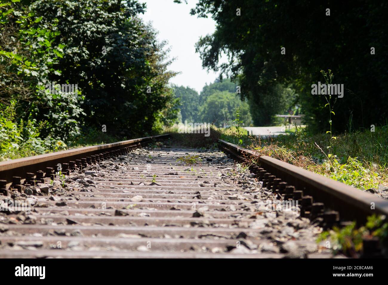 An old abandoned railroad line to nowhere. But very nice leading ...