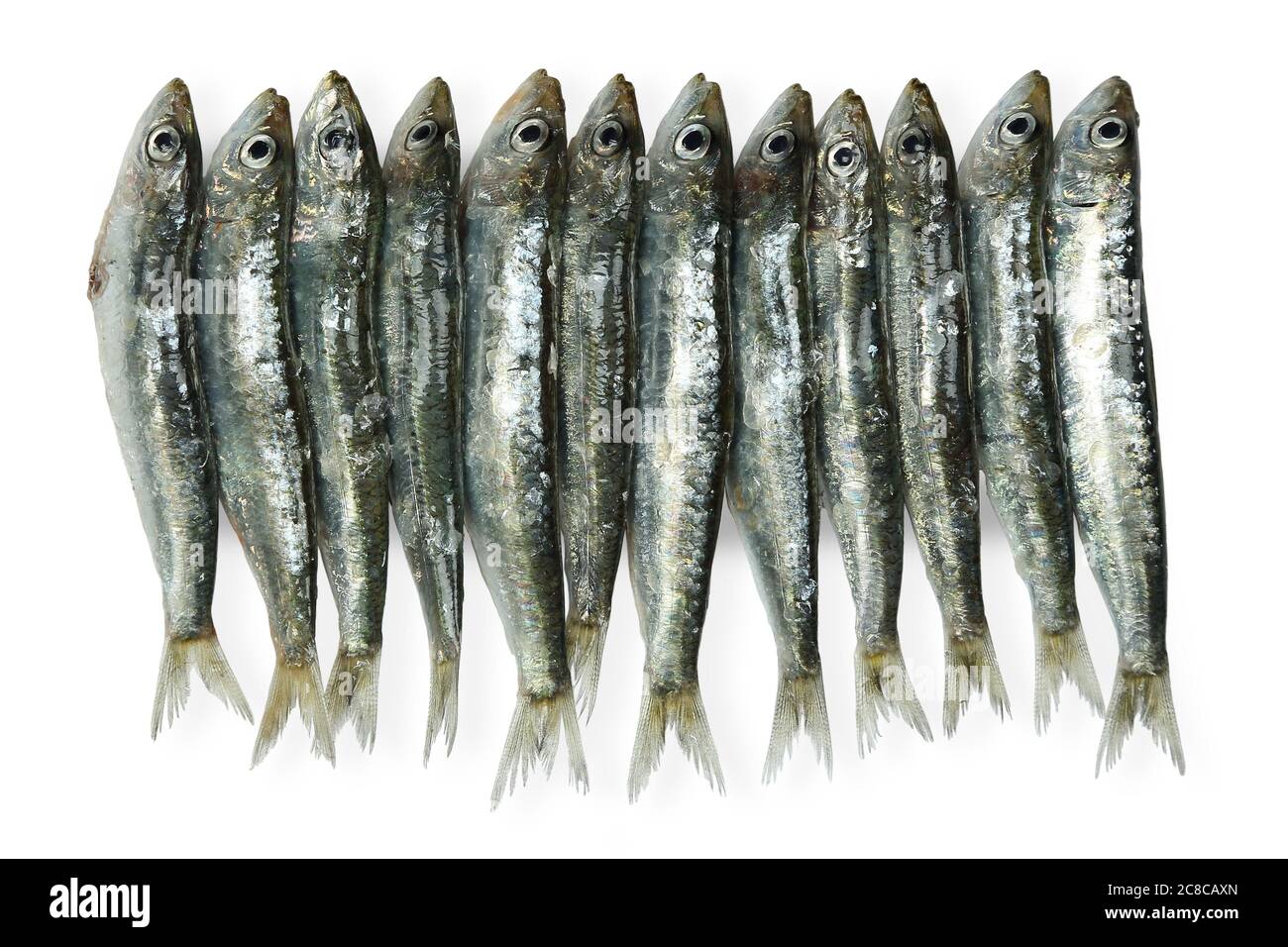 Heads of sardines hi-res stock photography and images - Alamy