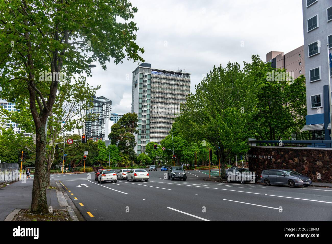 Auckland CBD with green lush trees at the street Stock Photo - Alamy