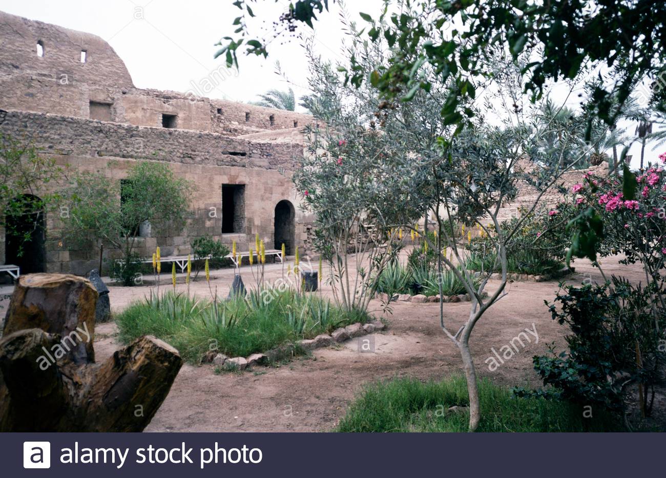 Aqaba Castle High Resolution Stock Photography and Images - Alamy