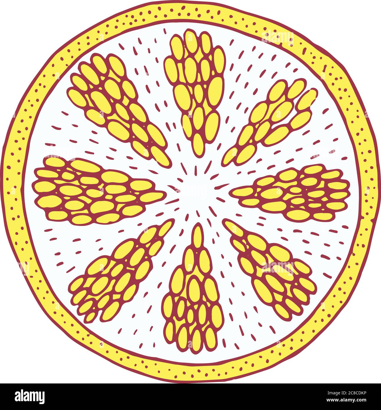 Color drawing or illu Stock Vector Images - Alamy