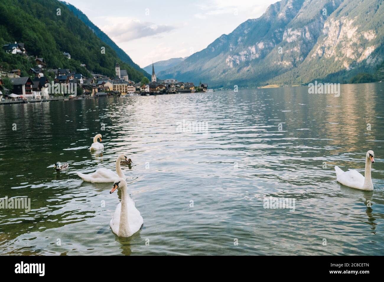 Austria, Hallstatt UNESCO historical village. Scenic picture-postcard ...