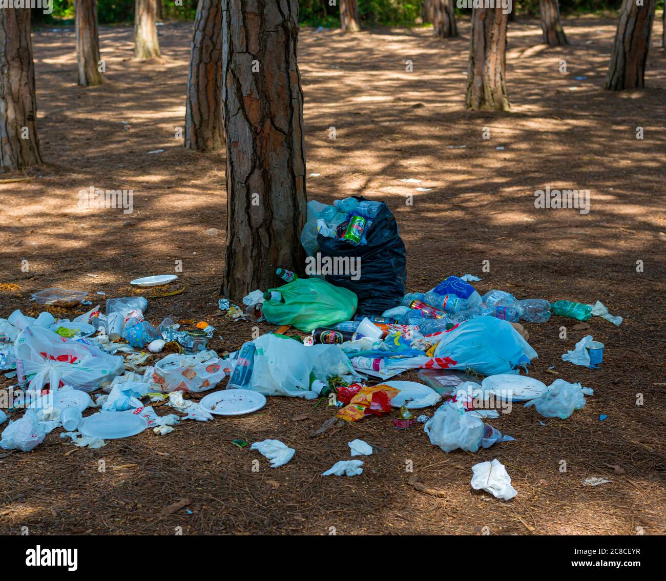 Forest waste. Garbage Heap Outdoor. Environmental Pollution Concept ...