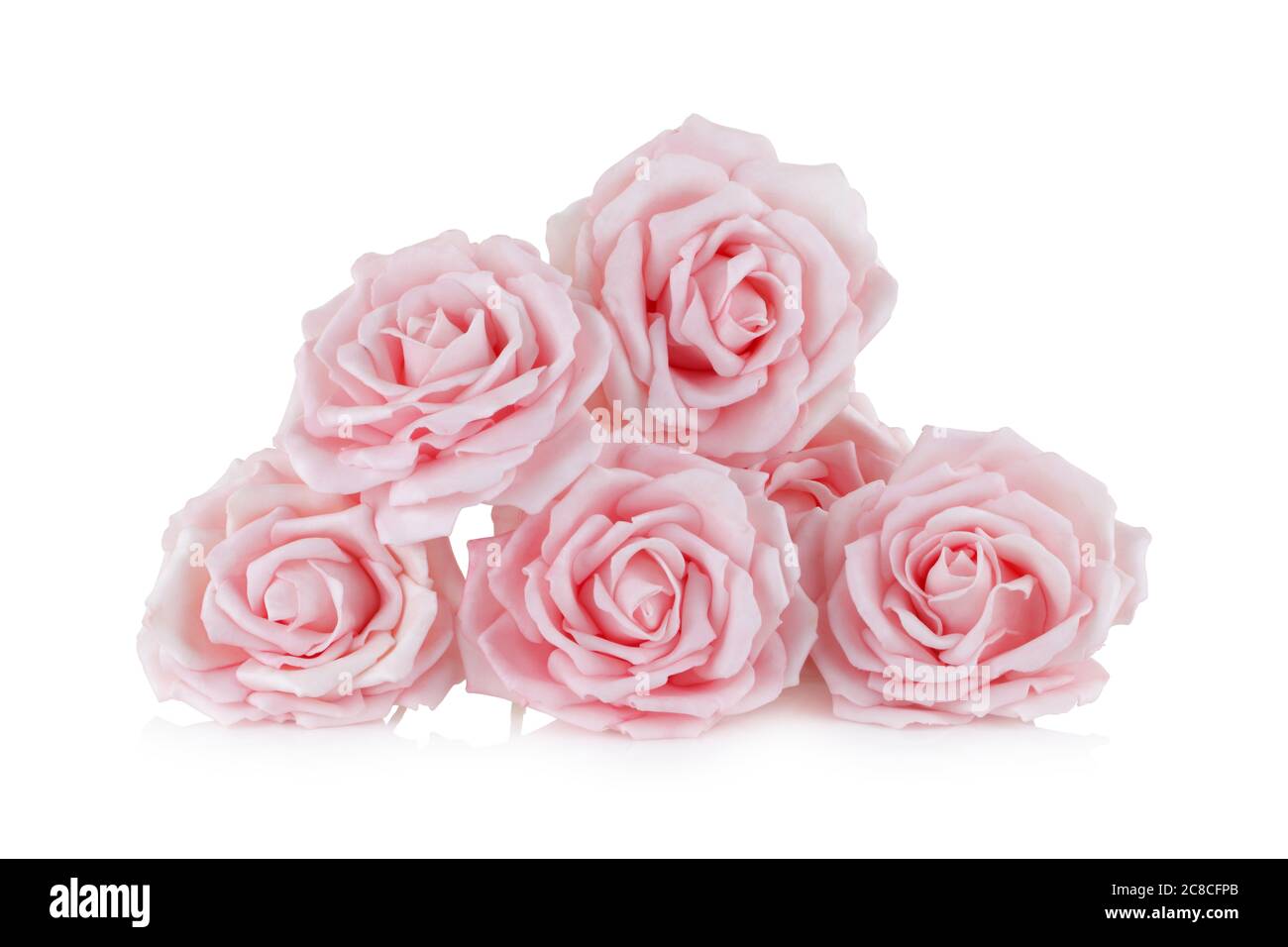 Pink paper roses on white with reflection Stock Photo - Alamy