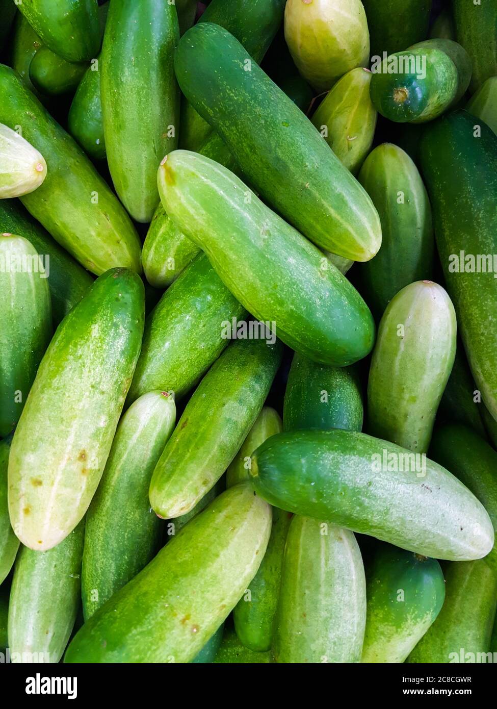 Cucumber cucumbers hi-res stock photography and images - Alamy
