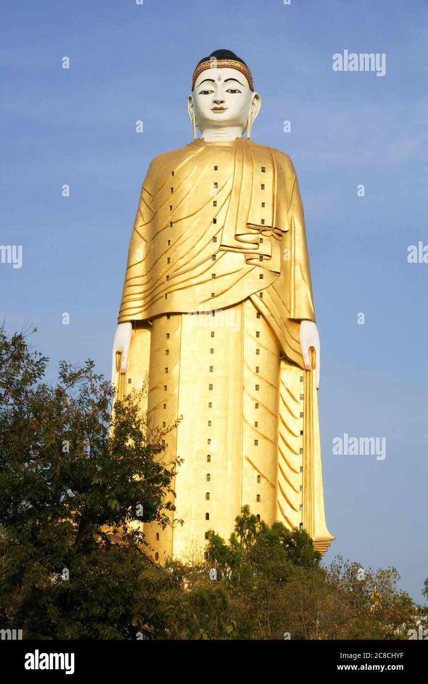 Banyan burma tree hi-res stock photography and images - Alamy