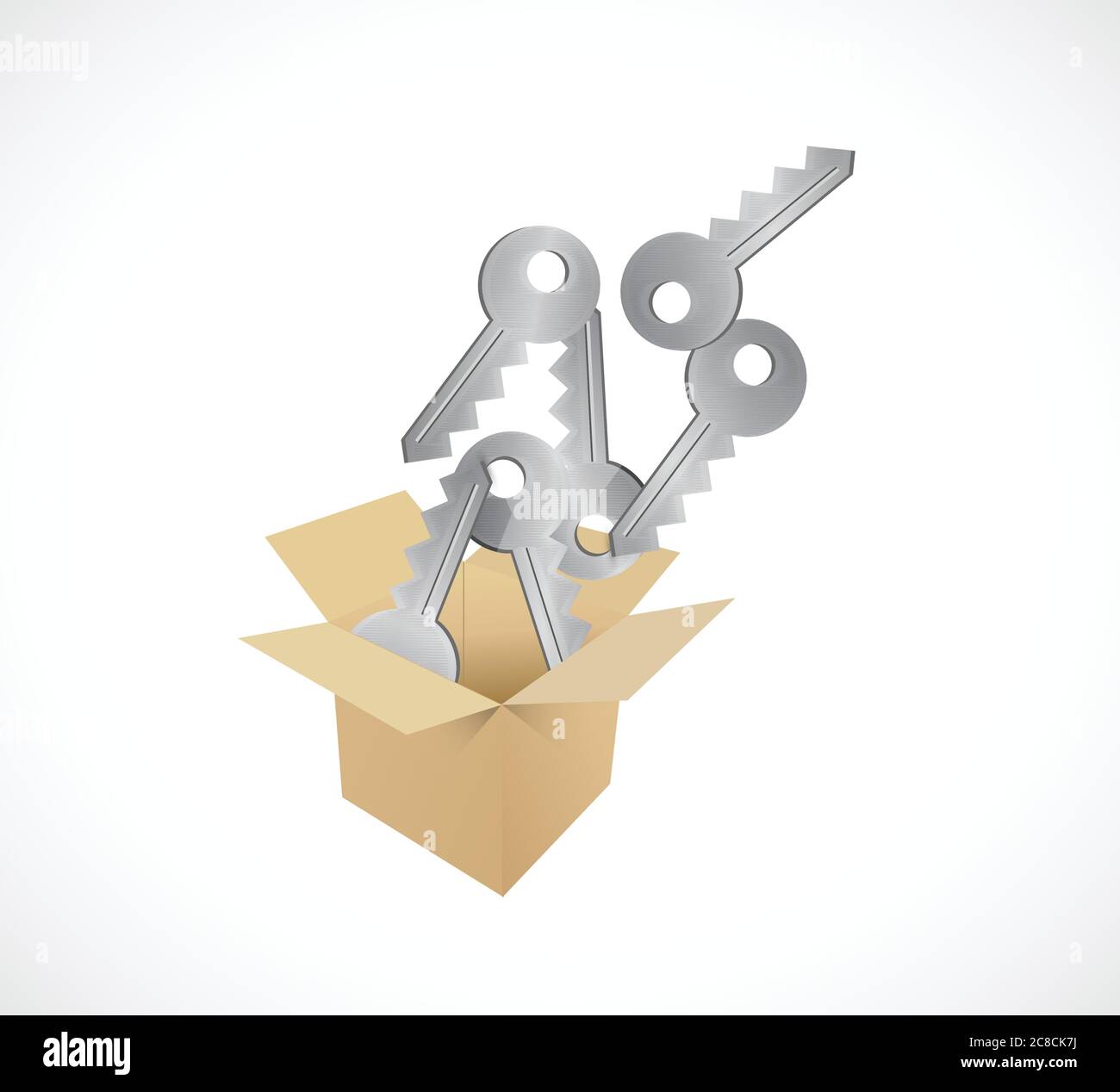 Keys inside a box illustration design over a white background Stock ...