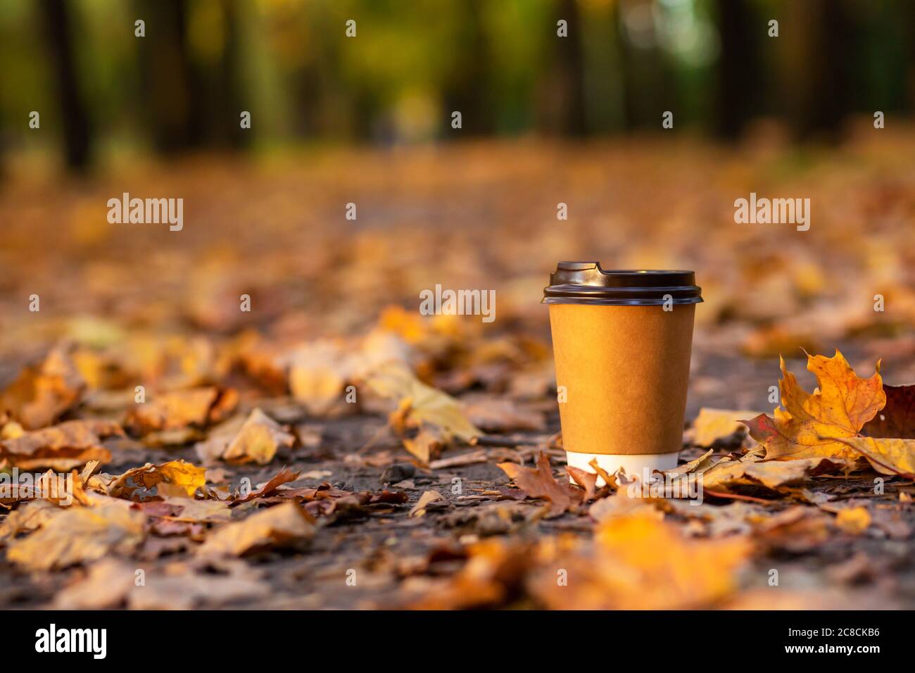 Walk with a cup of hot cocoa in the autumn park. Craft cup of coffee on ...