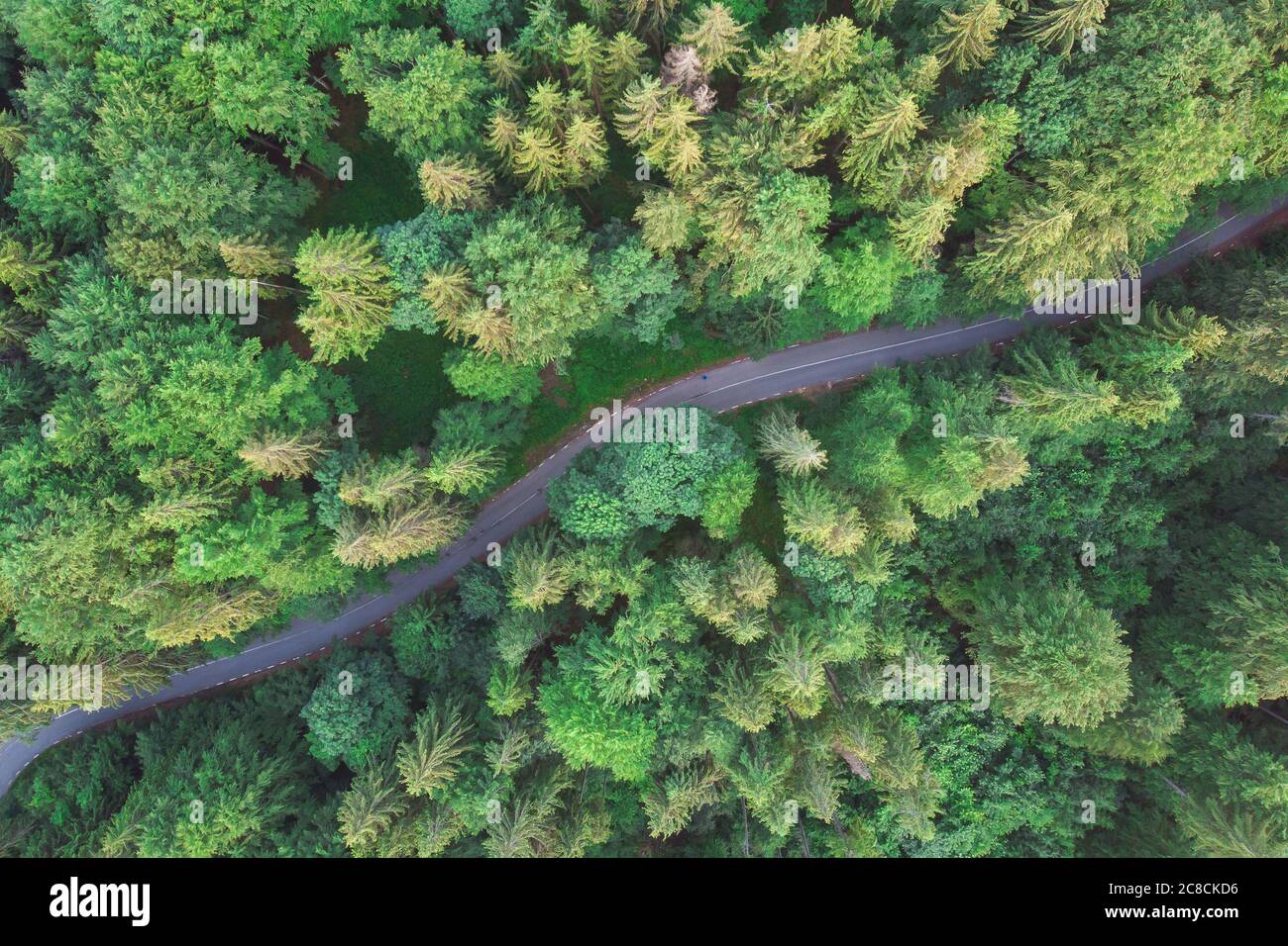 Pines Road High Resolution Stock Photography and Images - Alamy
