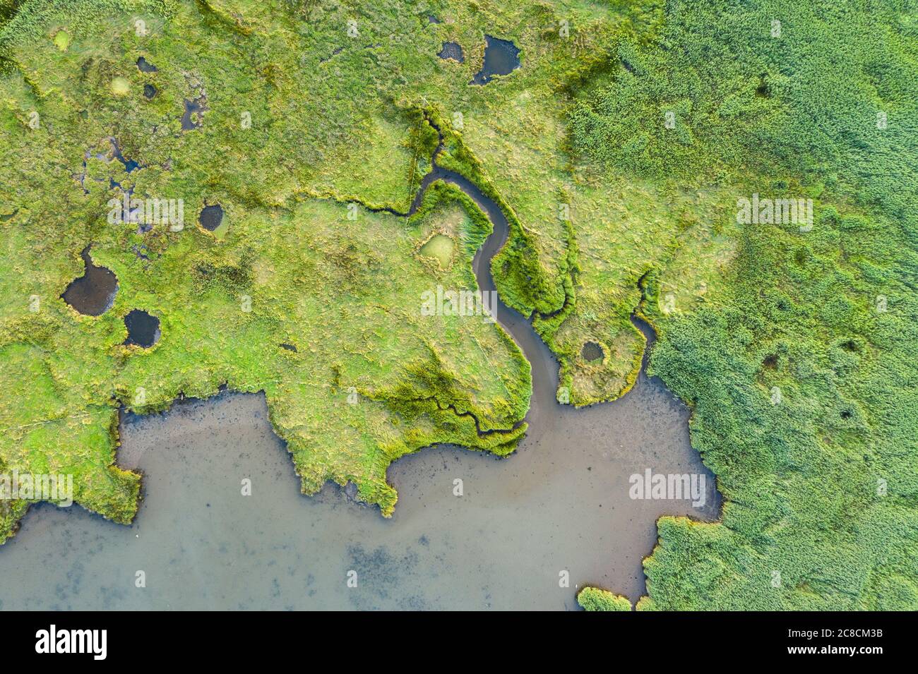 Drone top down bird's eye view landscape image of tidal wetlands in ...