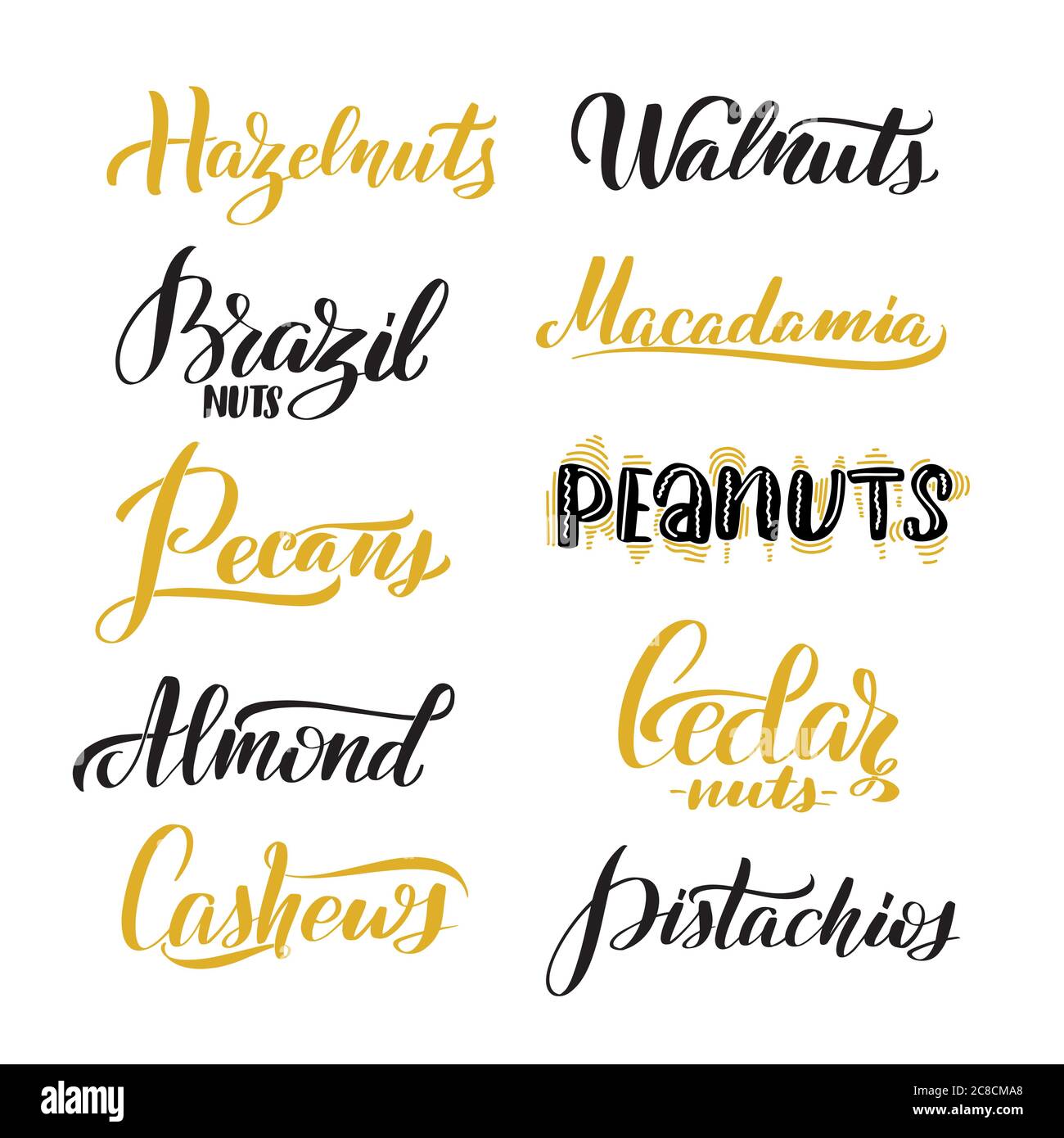 Vector calligraphy illustration isolated on white background Stock ...