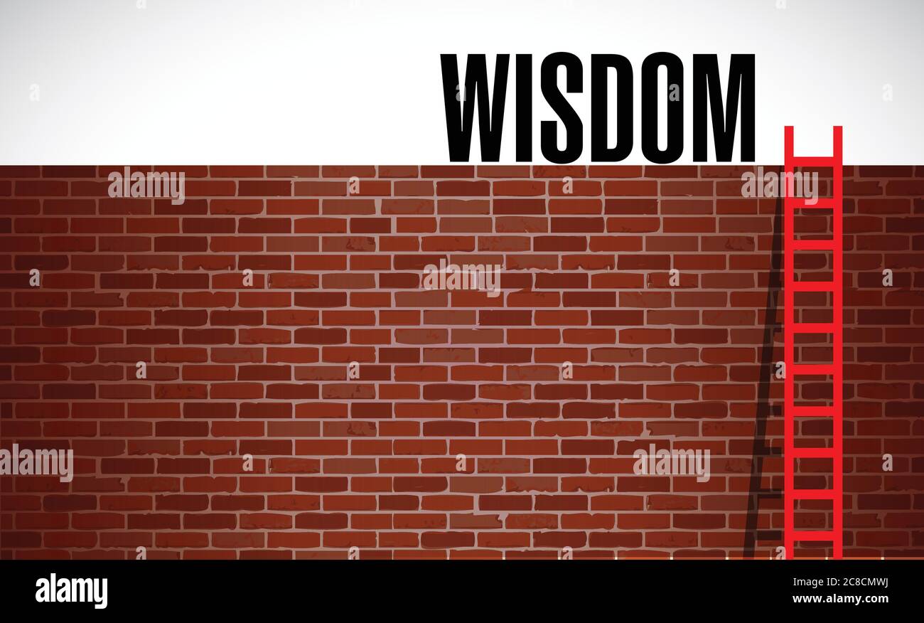 Ladder to wisdom. illustration design over a brick background Stock ...
