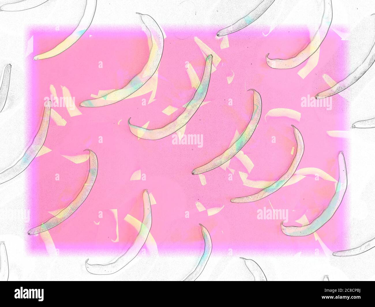 Green beans pattern on pink background Stock Photo - Alamy