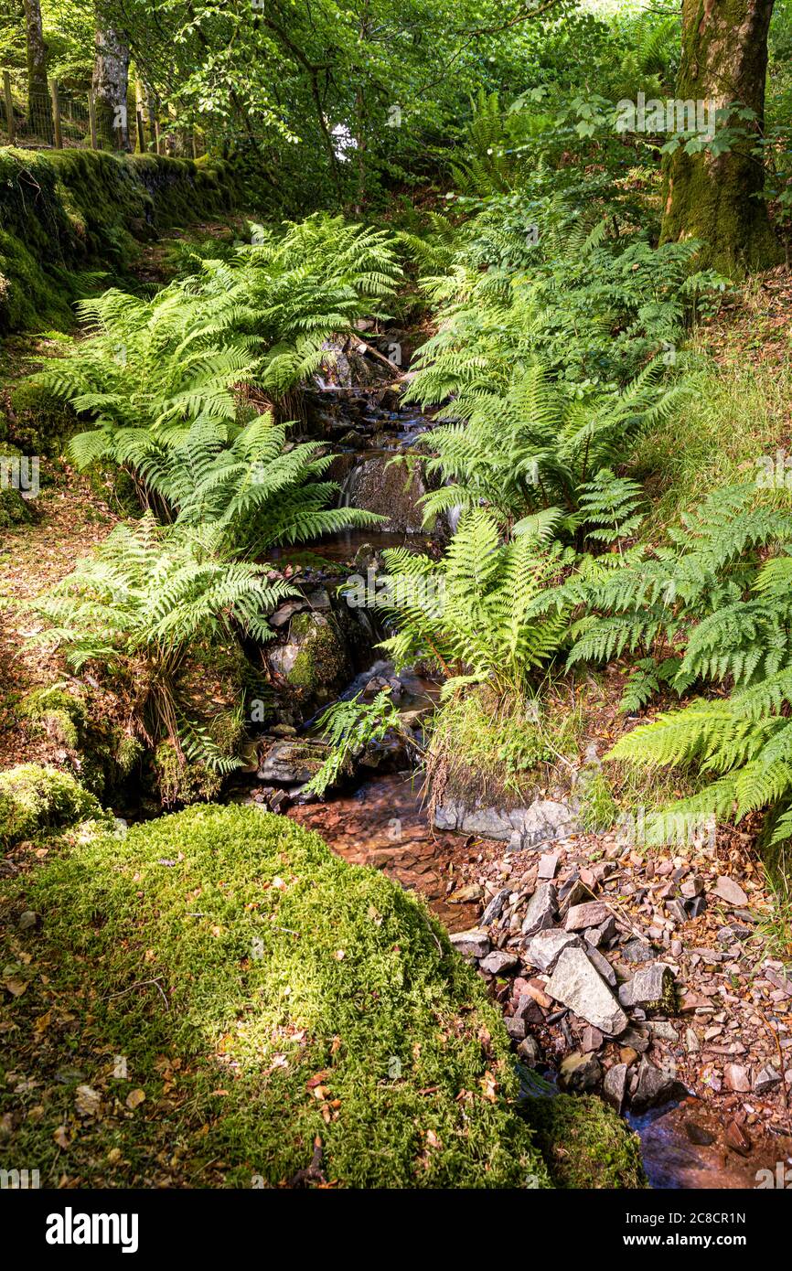 Small bridge and flowing water hi-res stock photography and images - Alamy