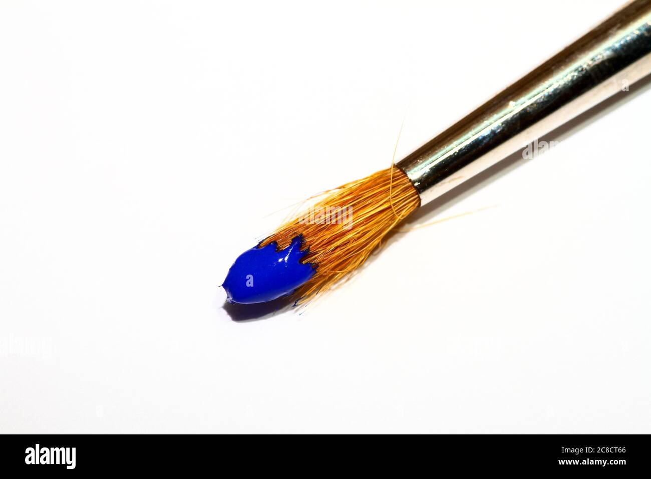 Artists paint brush loaded with blue paint isolated on a white ...