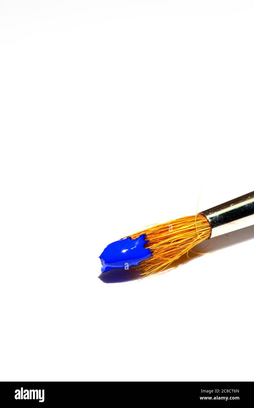 Artists paint brush loaded with blue paint isolated on a white ...