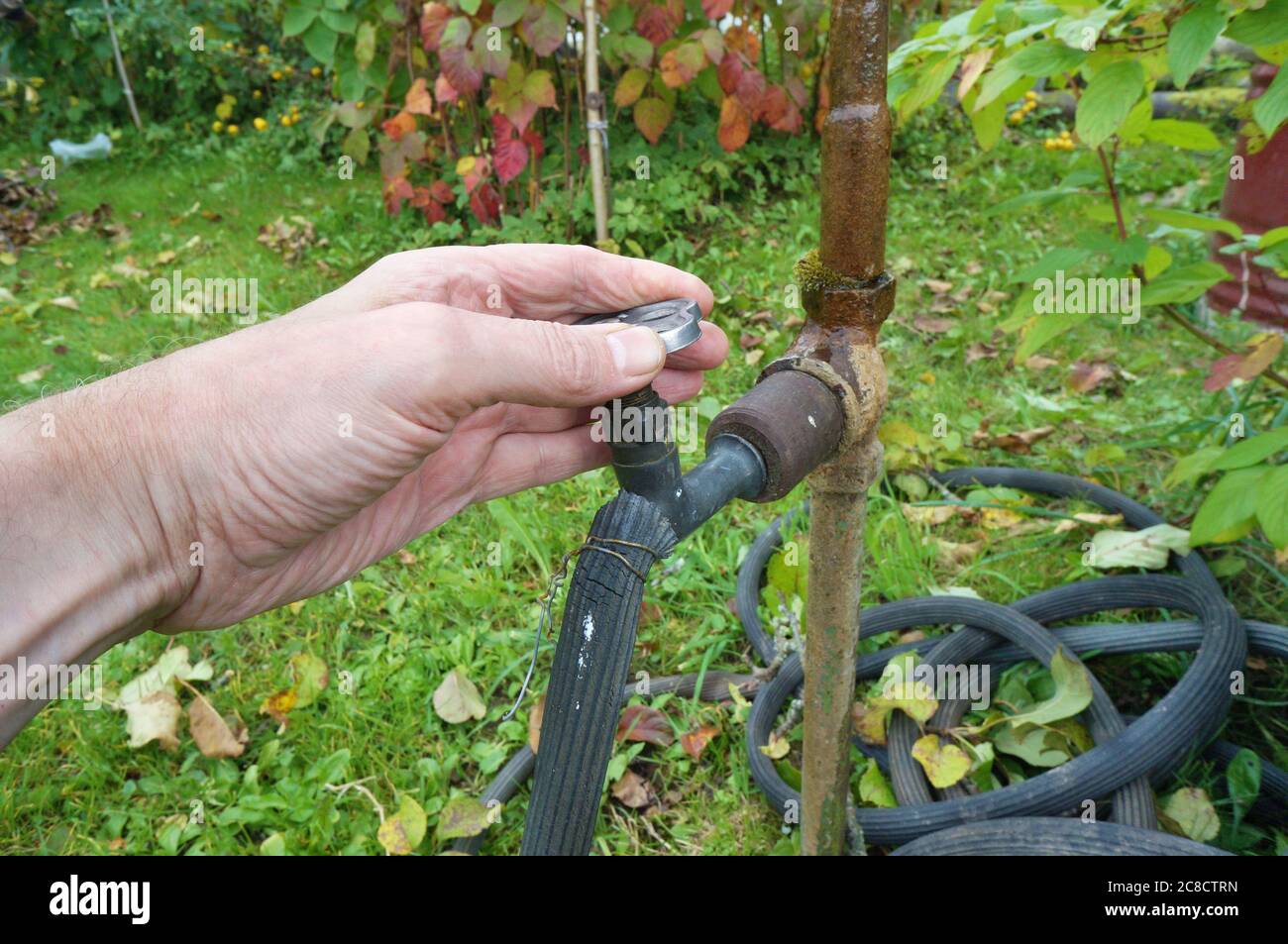 Male farmer opens a water tap in his green garden Stock Photo - Alamy