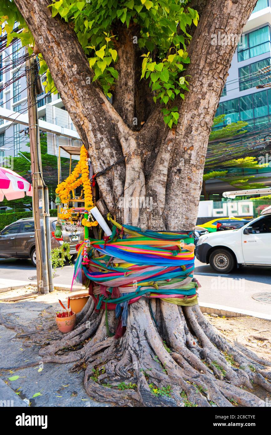 Cloth tied around tree hi-res stock photography and images - Alamy