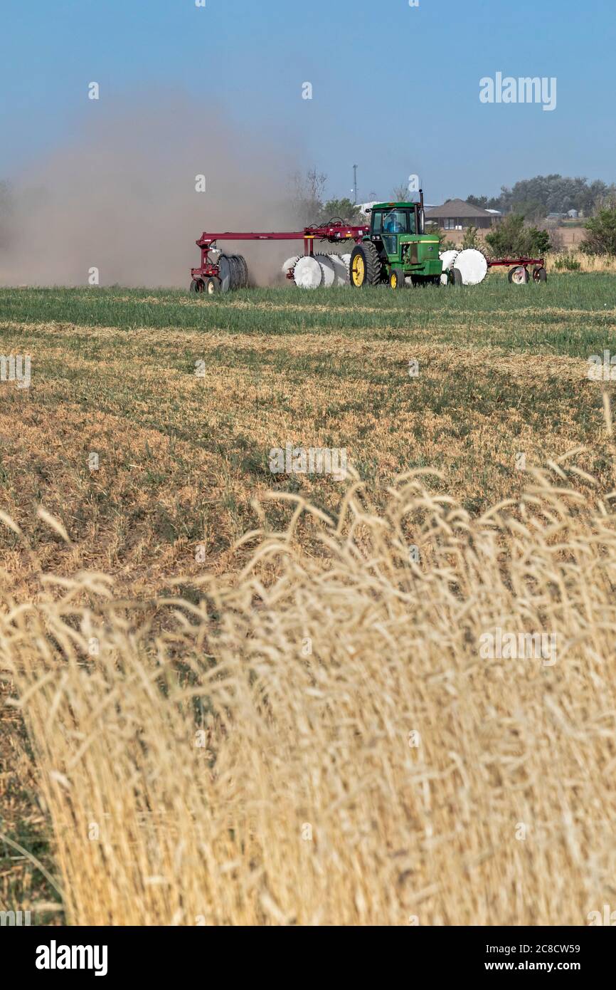 Rouse v rake hi-res stock photography and images - Alamy