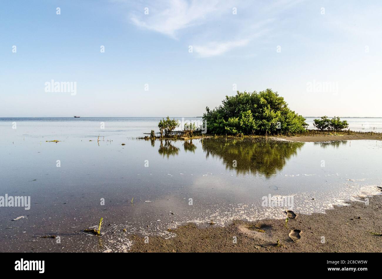 Rising tide at the mudflats of Barr Al Hikman in Oman with pocket of ...