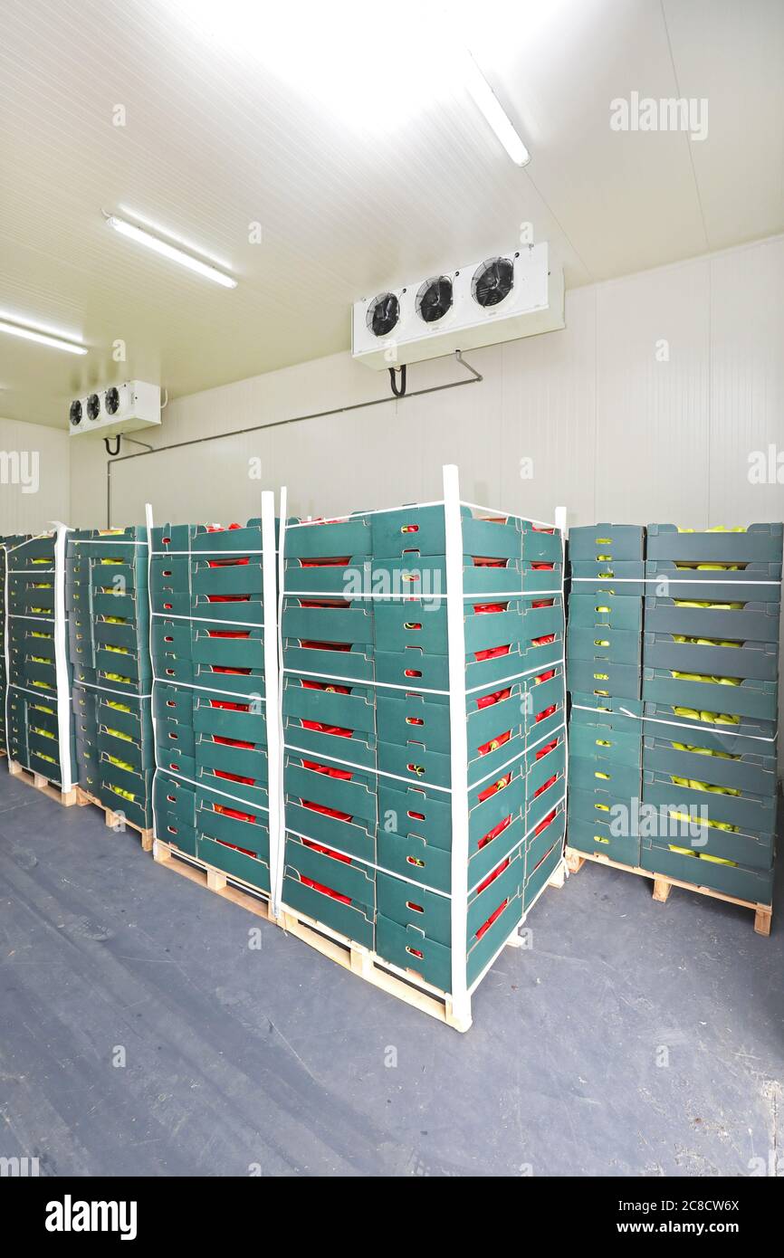 Fruits and Vegetables in Crates at Pallets Storage Warehouse Stock ...