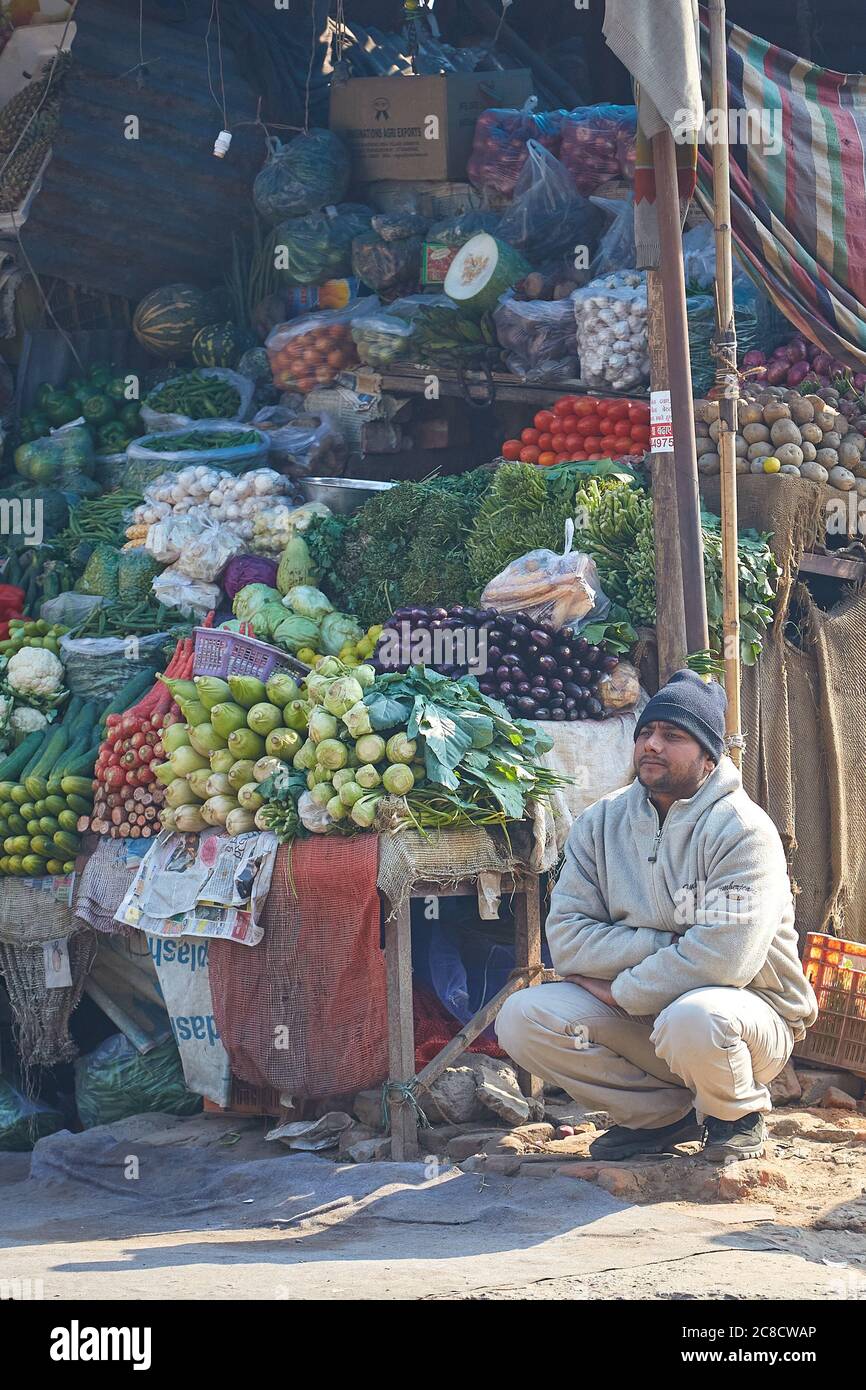 Market Trader Waits For Customers By His Vegetable Stall. Delhi, India ...
