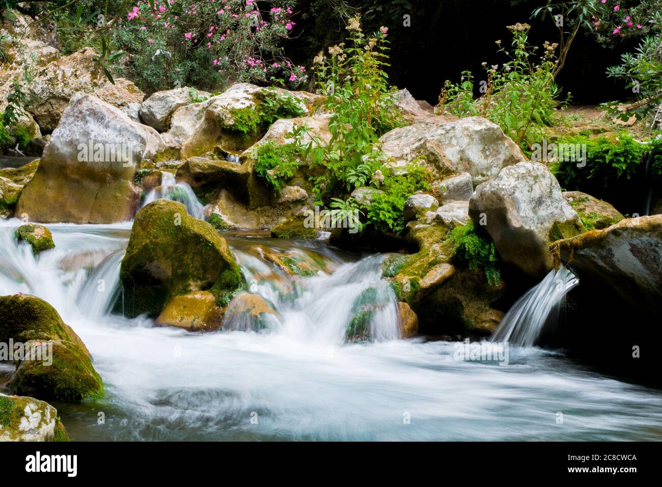 Akchour gorge hi-res stock photography and images - Alamy