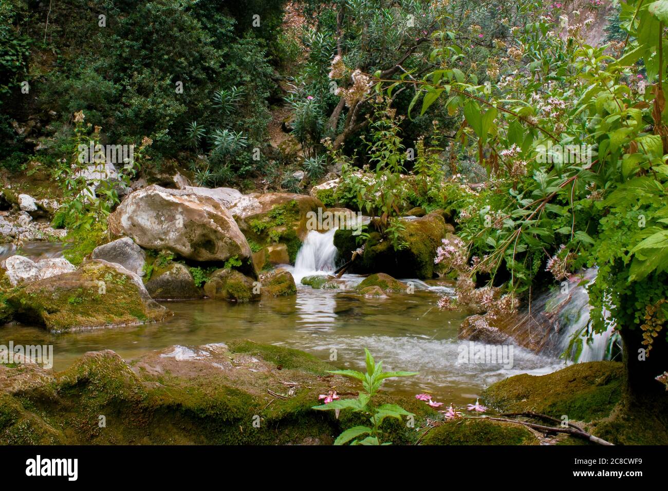 Akchour gorge hi-res stock photography and images - Alamy