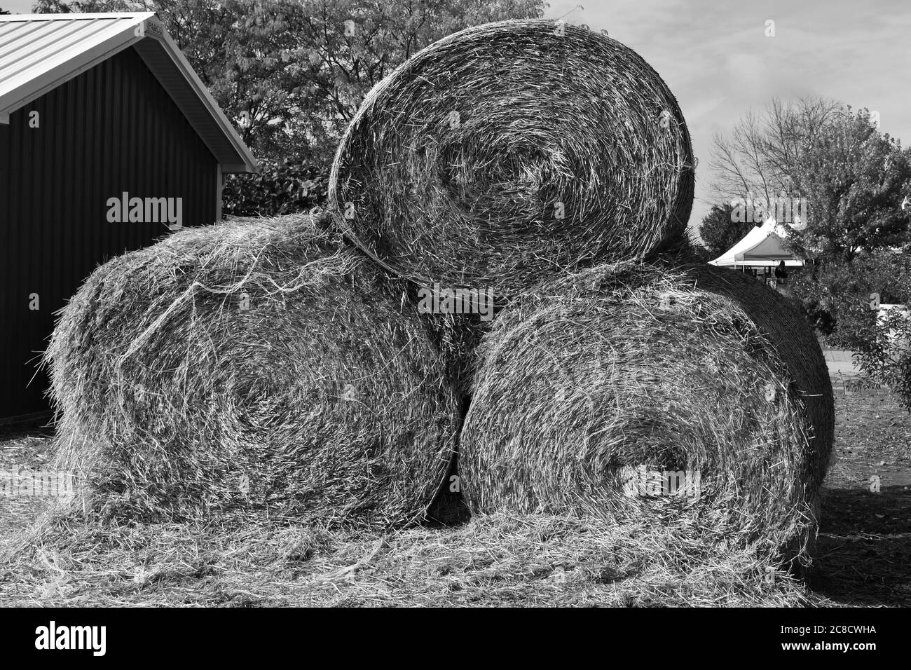 Black hay bales hi-res stock photography and images - Alamy