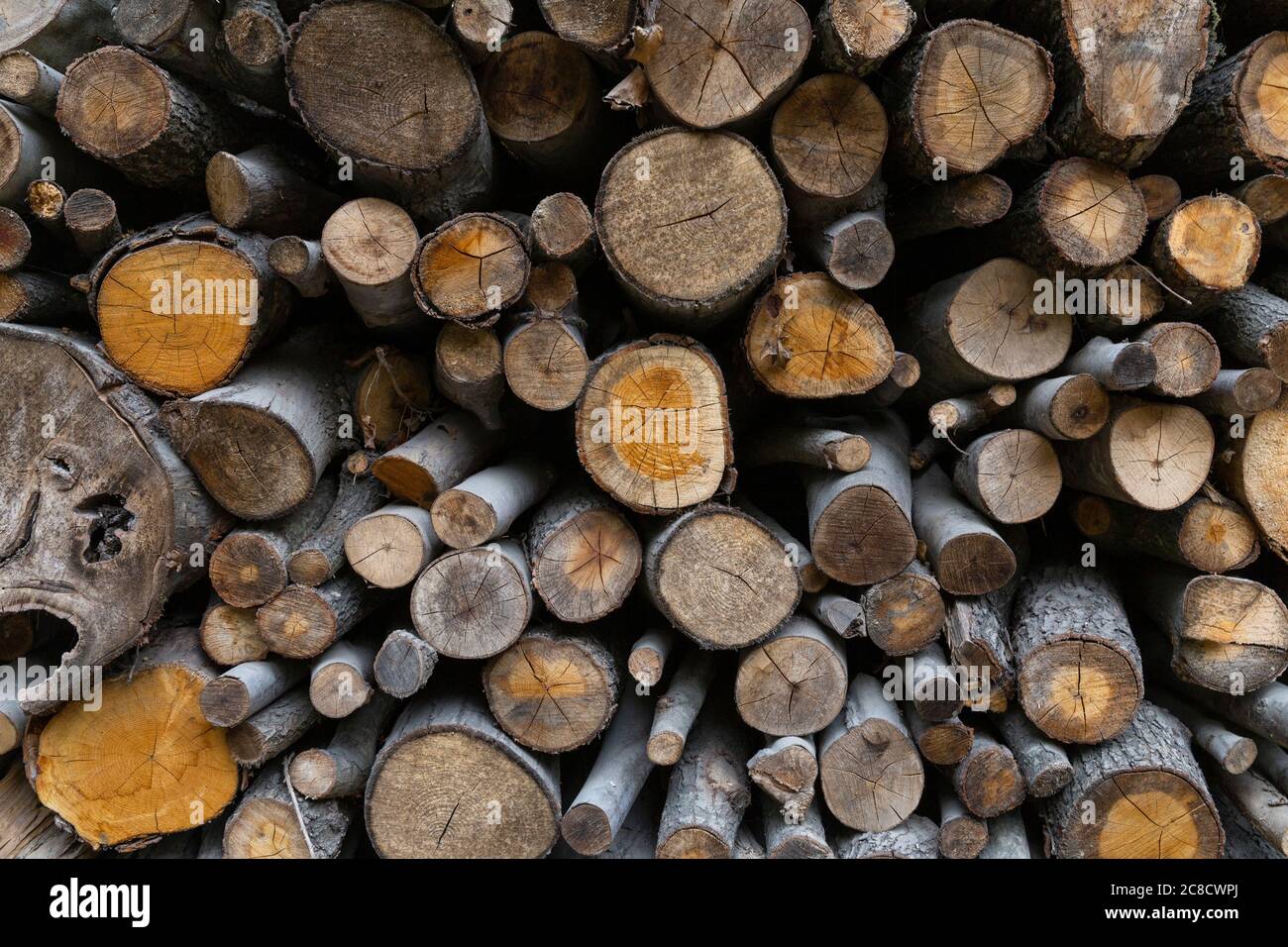 Felled tree trunks hi-res stock photography and images - Alamy