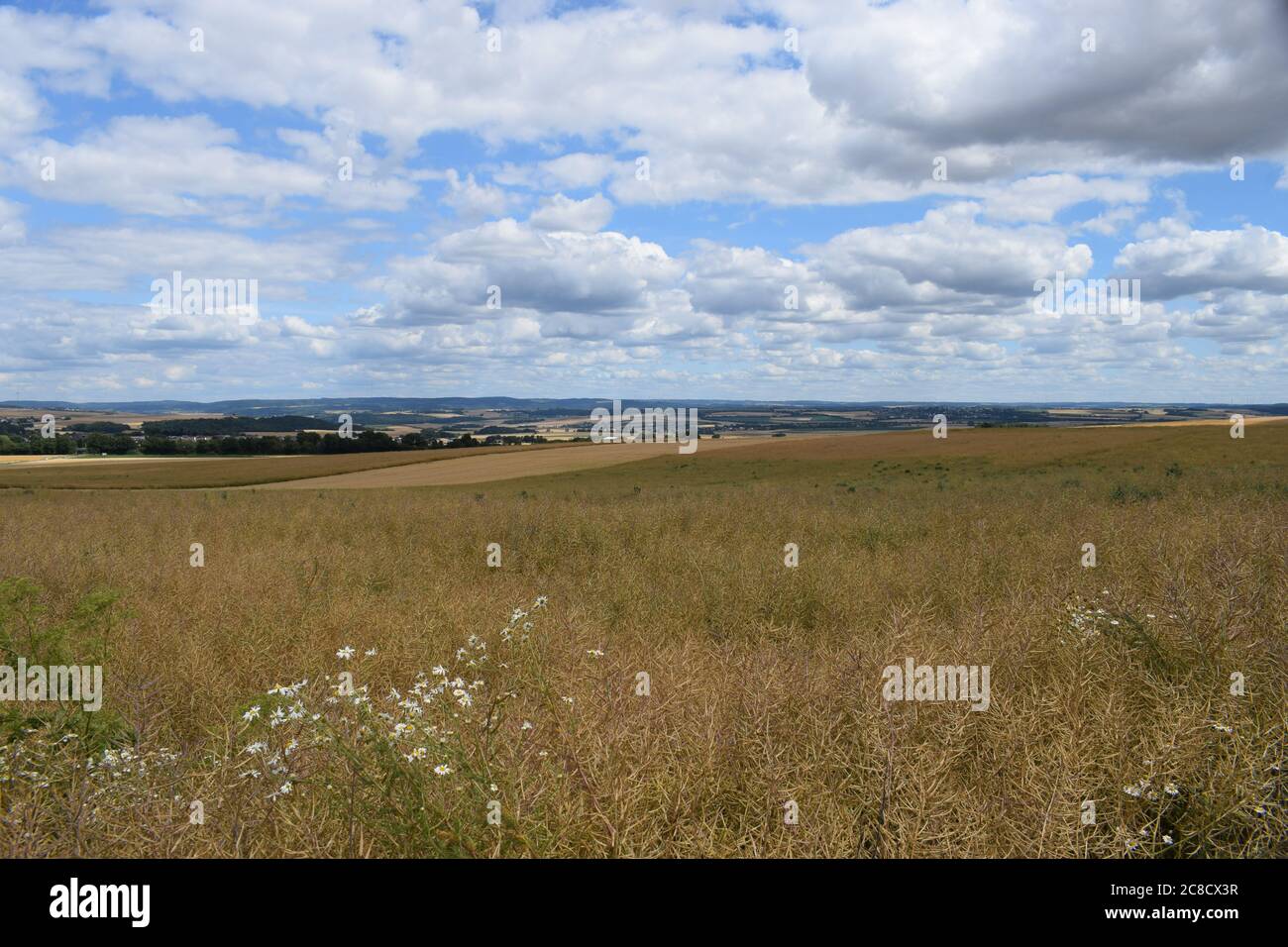 wide fields around small town Polch Stock Photo - Alamy