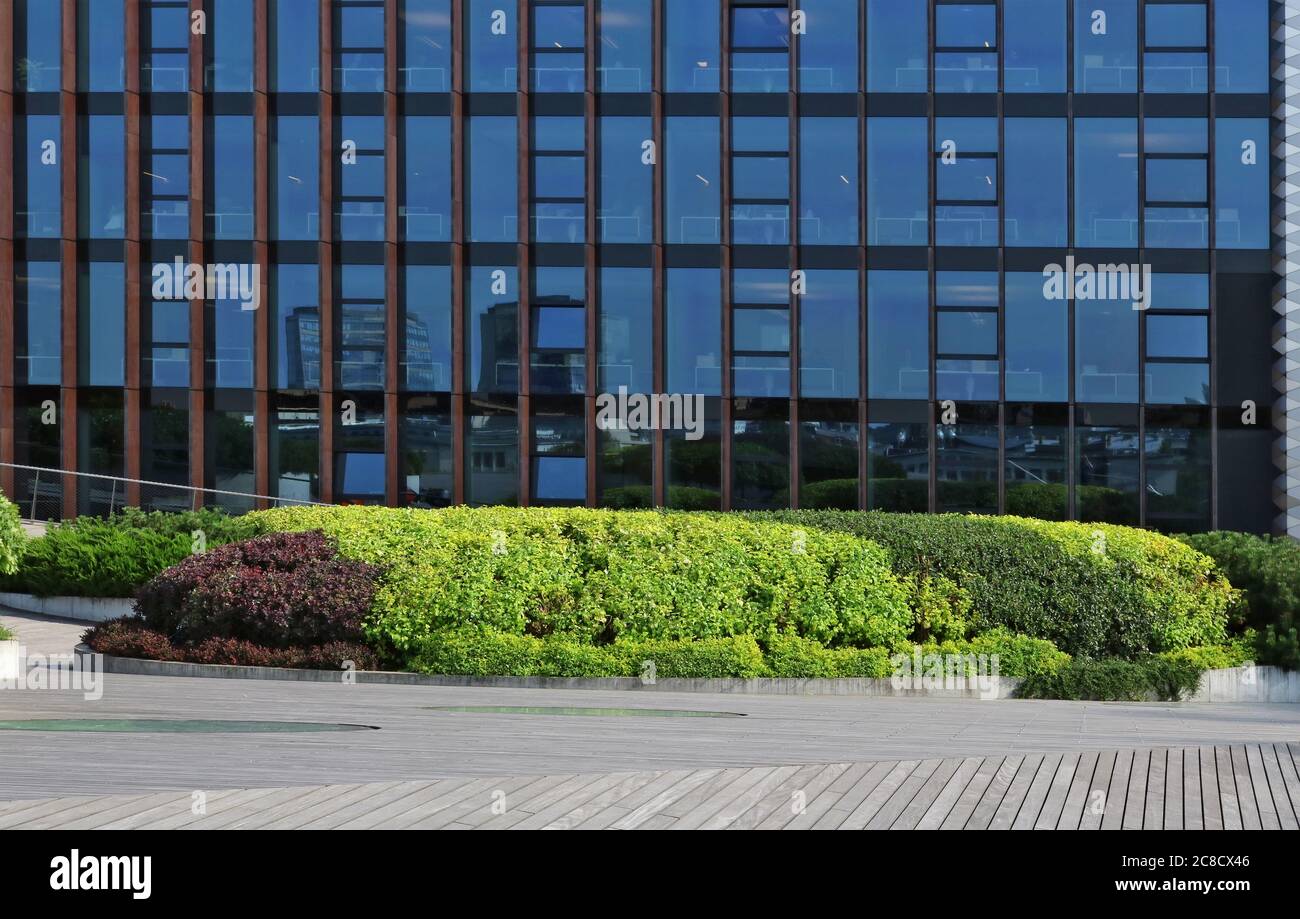 New glass windows and yard green decorative plants of a modern emty ...