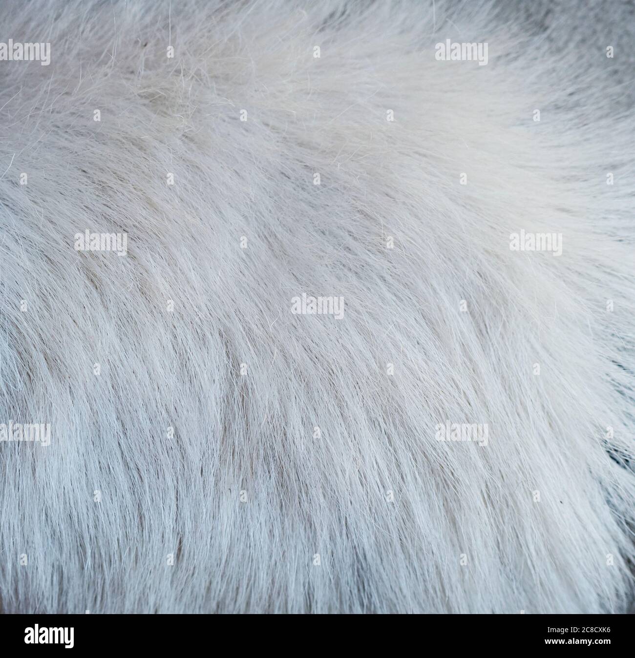 Fluffy white textile texture Stock Photo - Alamy